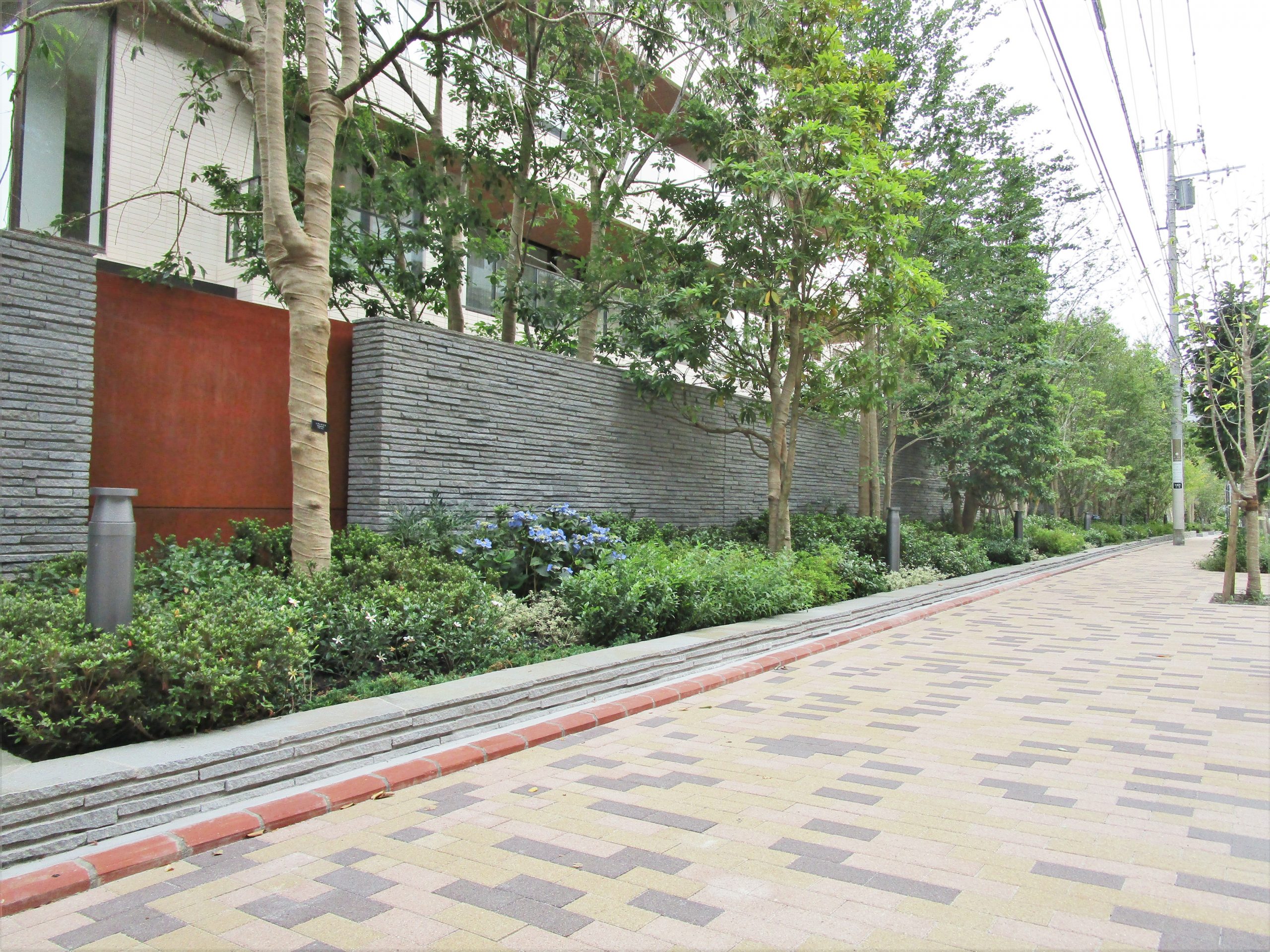 Homat Sharon - 株式会社フロント